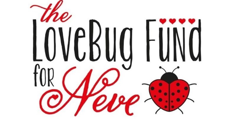 Team Lovebug